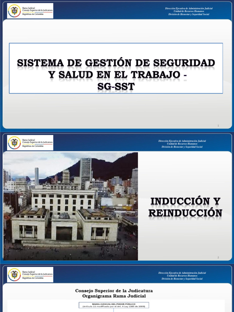 1 Induccion y Reinducción SST | Descargar gratis PDF | Gestión de recursos humanos | Bienestar