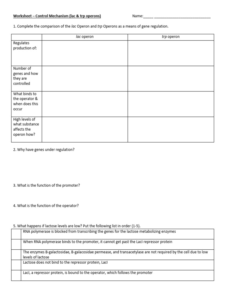 Worksheet Gene Regulation | PDF | Operon | Repressor