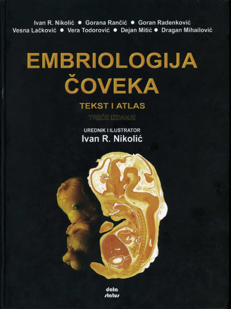 Embriologija Čoveka (Niška) | PDF