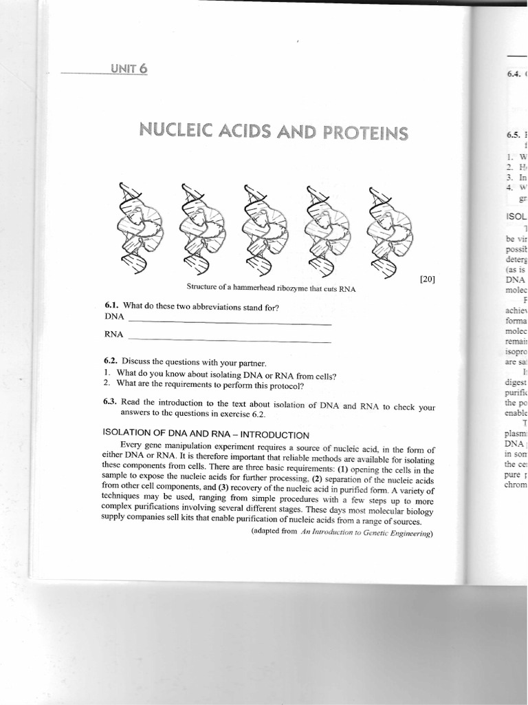 Nucleic Acids and Proteins | PDF