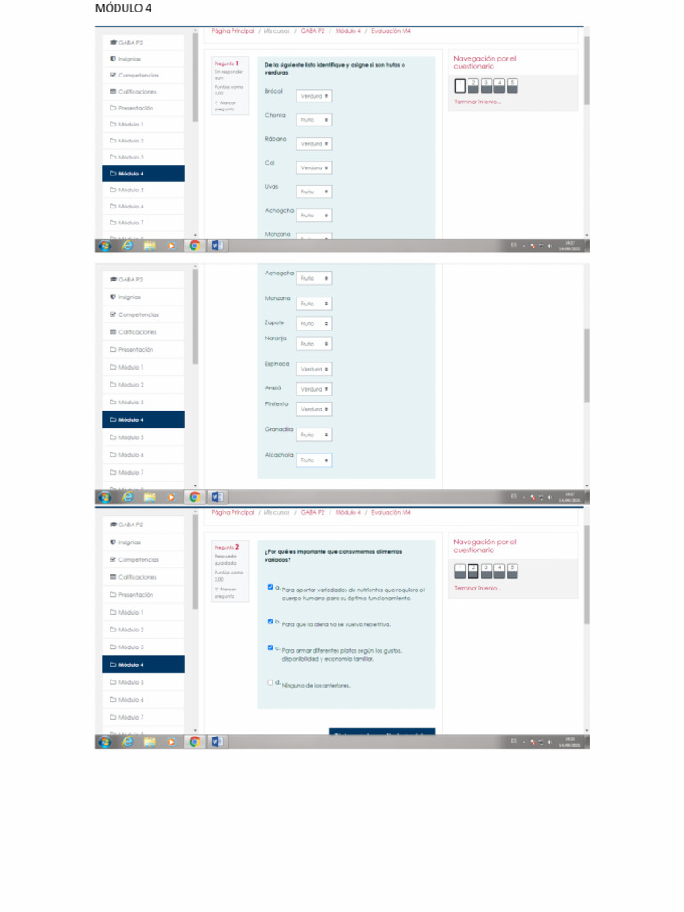 Modulo 4 Gaba 2 | PDF