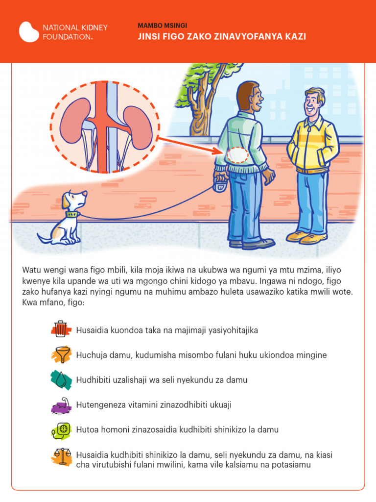 How Your Kidneys Work-Nologo Swahili | PDF