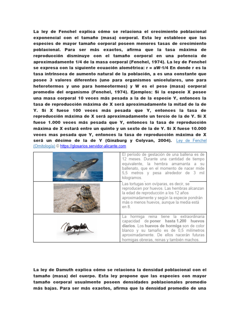 Leyes de Fenchel y Damuth en Poblaciones | PDF | tiranosaurio ...