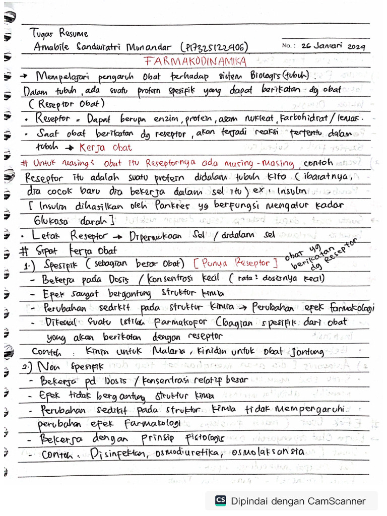 Tugas Resume - Amabile SM | PDF