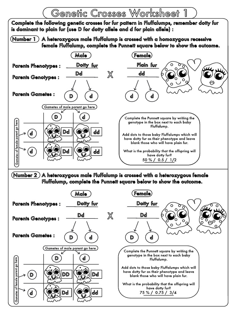 GCSE Genetic Crosses Worksheet 1 Answers | PDF