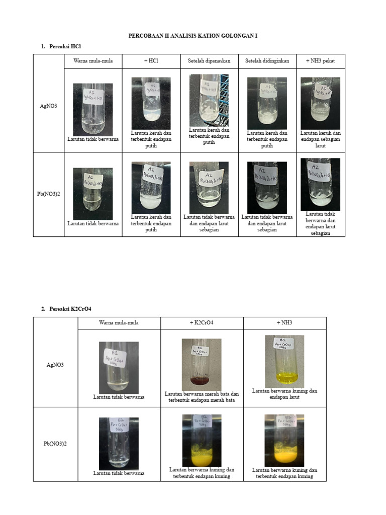 Analisis Kation Golongan I | PDF