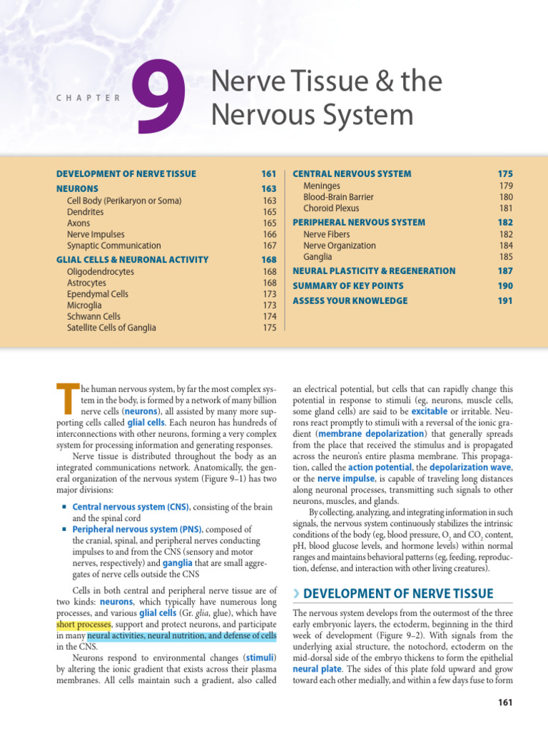 CNS 1 Histology | PDF | Nervous System | Neuron