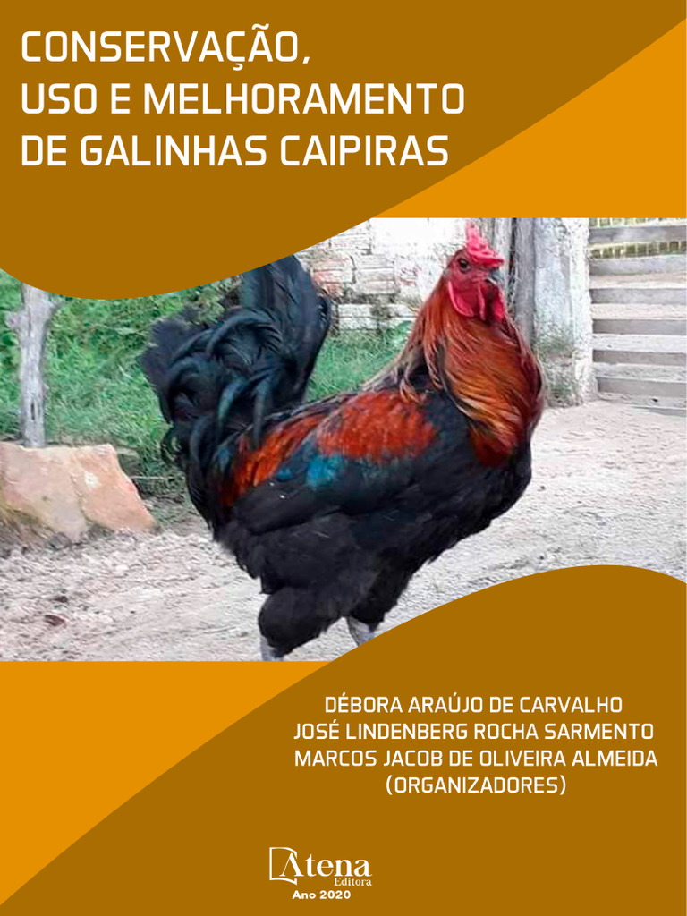 Livro GalinhaCaipira Cap6 | PDF