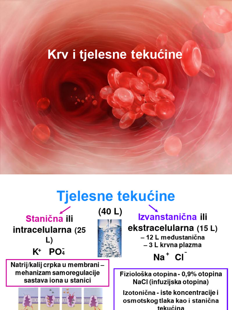 KRV I Tjelesne Tekućine 1 Dio 2023 | PDF