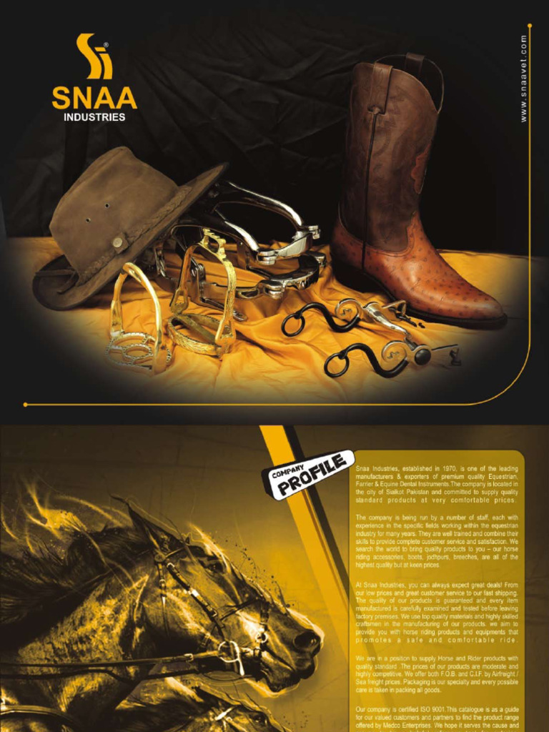 Horse Instruments | PDF