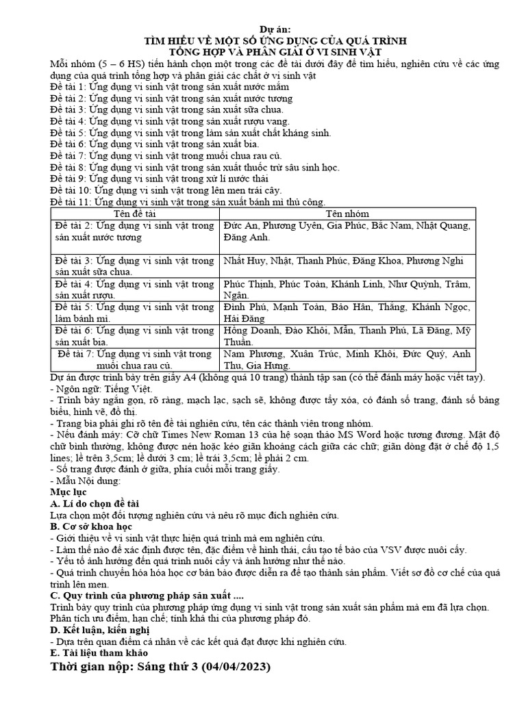 10hoa - Huong Dan Thuc Hien Du An VSV | PDF