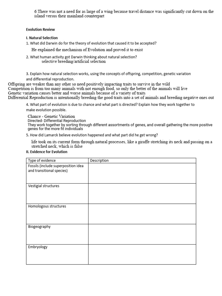 Evolution Theory and Evidence Review | PDF | Natural Selection | Evolution