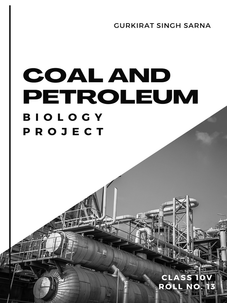 Coal and Petroleum Project Class 10 | PDF