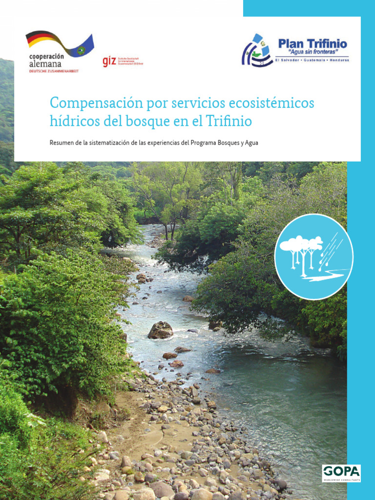 ByA Resumen Sist Modelo Forestal-2017-LR | PDF | Los bosques | Agua