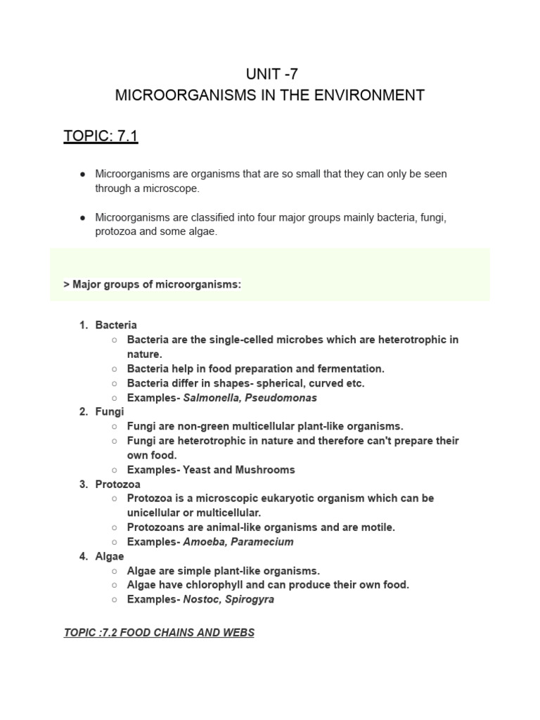 Microorganisms & Food Chains Overview | PDF | Food Web | Protozoa