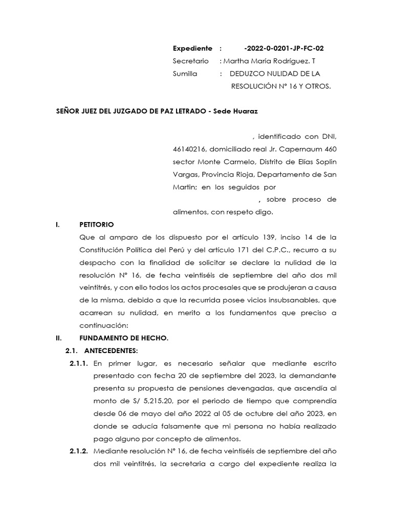 Nulidad de Resolución en Proceso de Alimentos | PDF | Ley procesal ...