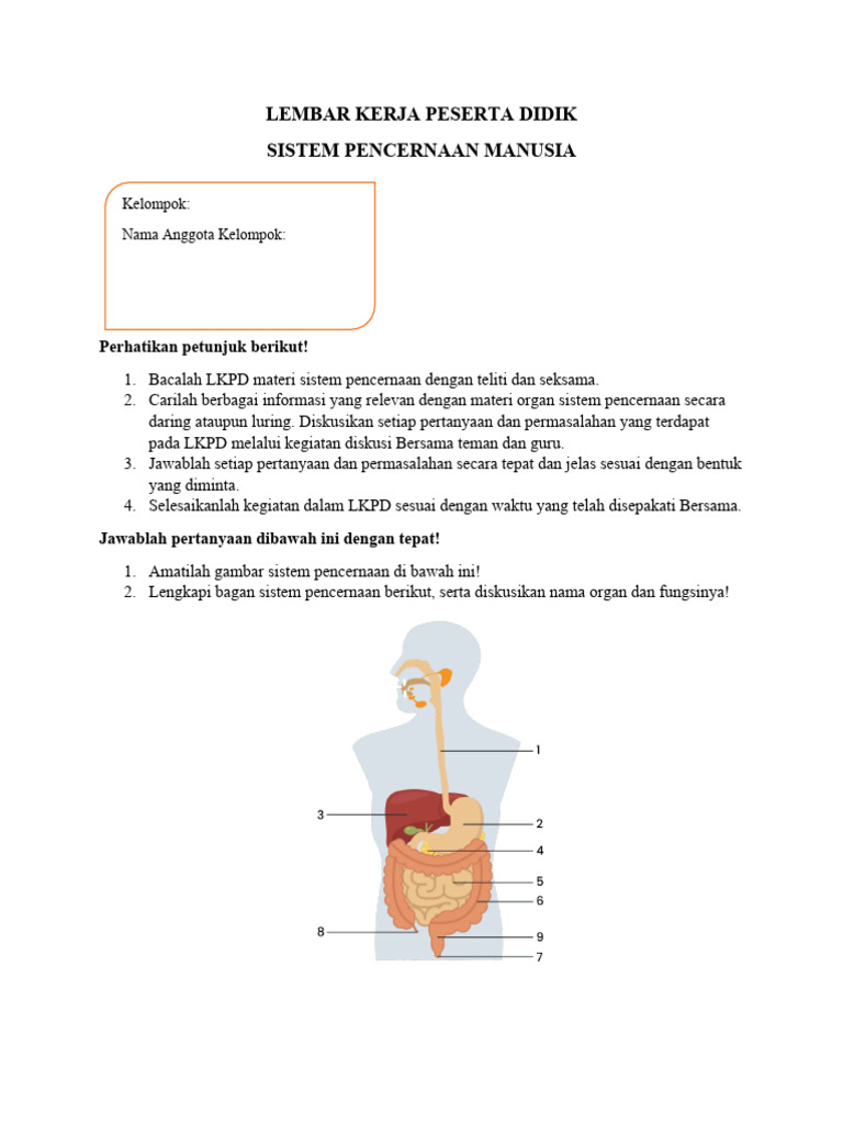 LKPD Baru Pencernaan-Pernapasan-Peredaran Darah | PDF | Kesehatan Holistik