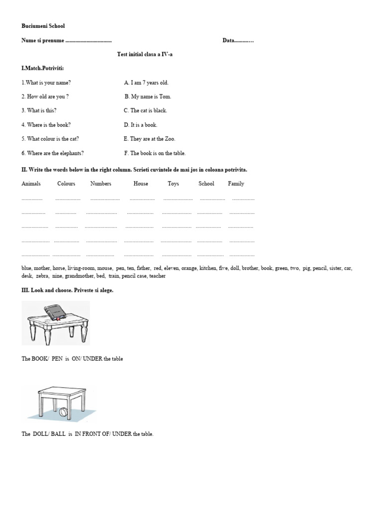 Teste Initiale Limba Engleza | PDF