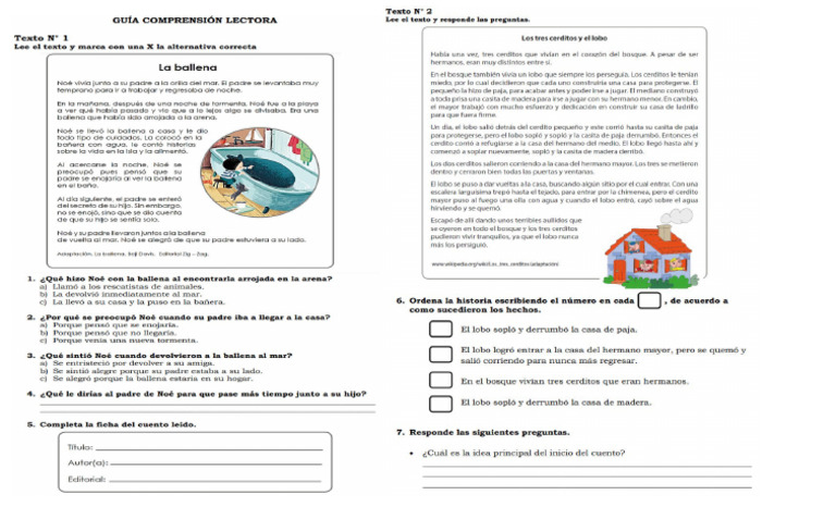 Guia Comprensión Lectora 6 Básico | PDF