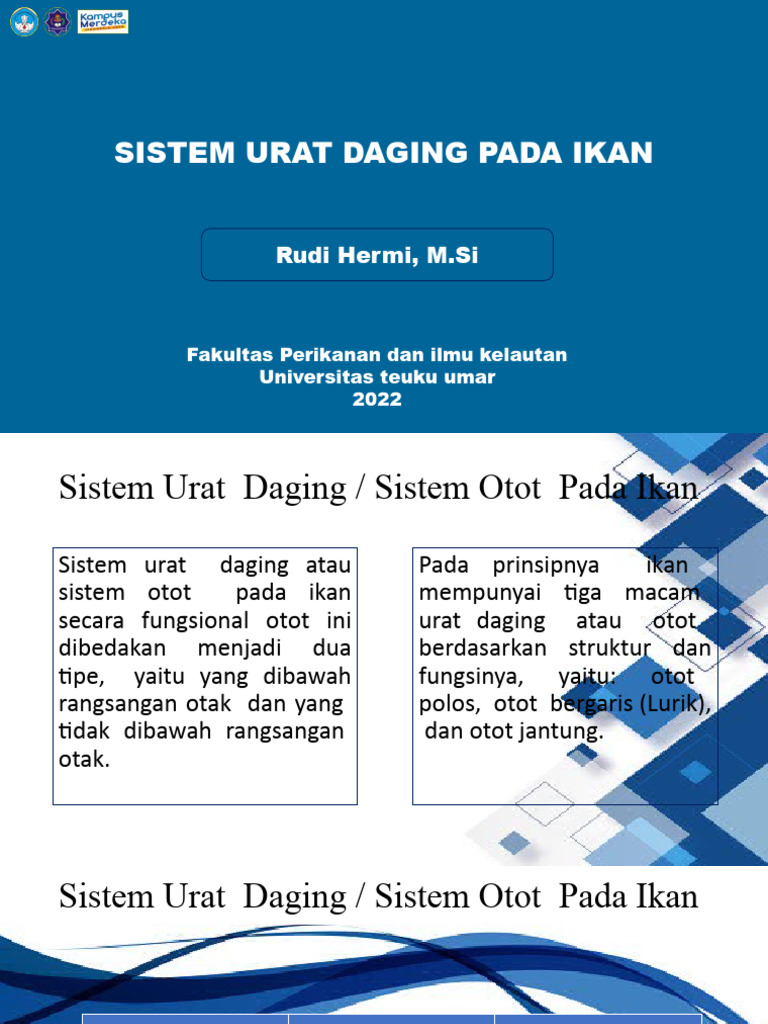 p4 Sistem Urat Daging Pada Ikan | PDF | Pengembangan Diri | Sains ...
