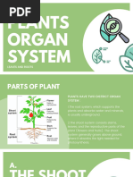 Root and Shoot Systems in Plants | PDF | Root | Plants