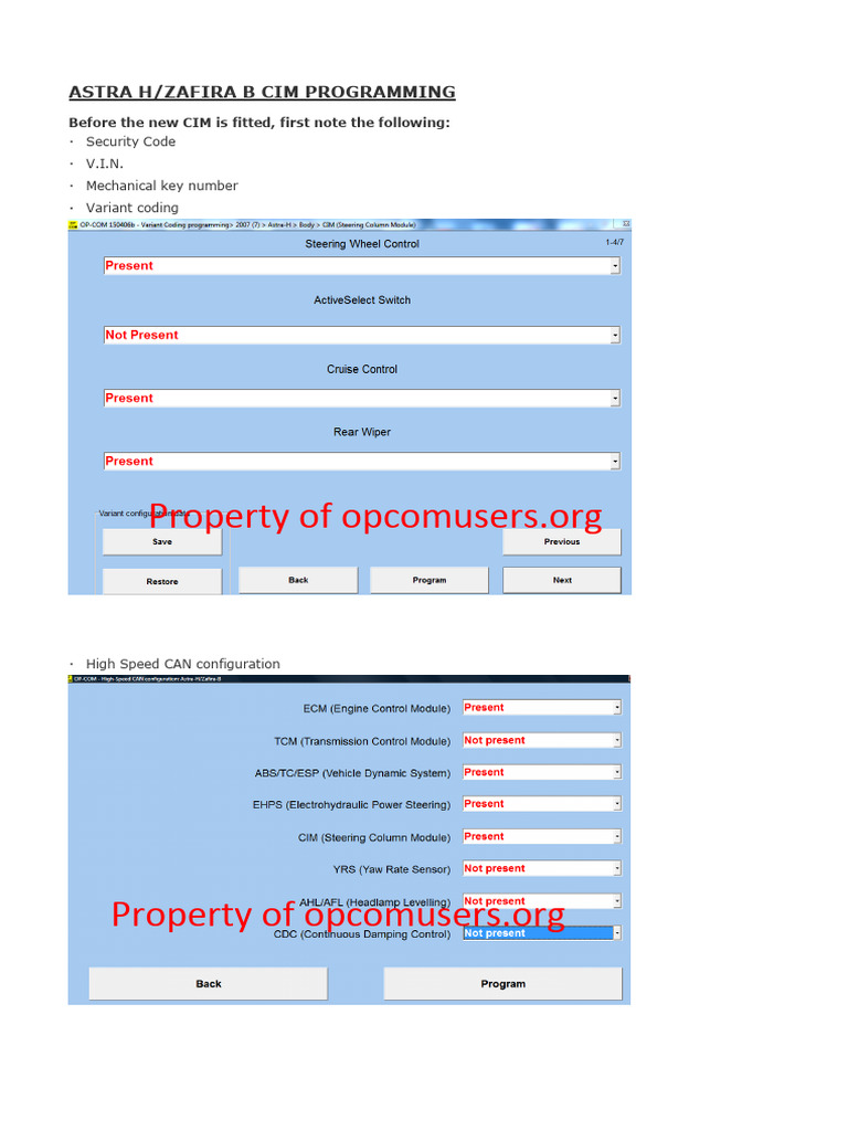 Astra H & Zafira B CIM Programming | PDF