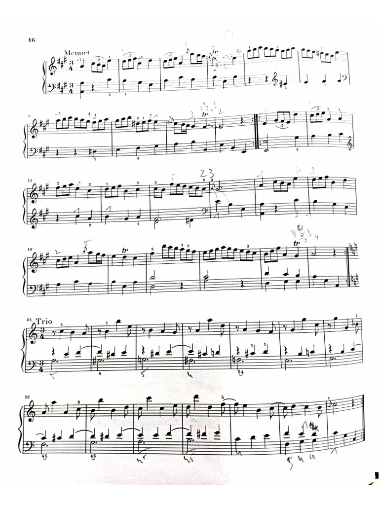 Haydn-Sonate hobokenXVI 12 Menuet | PDF