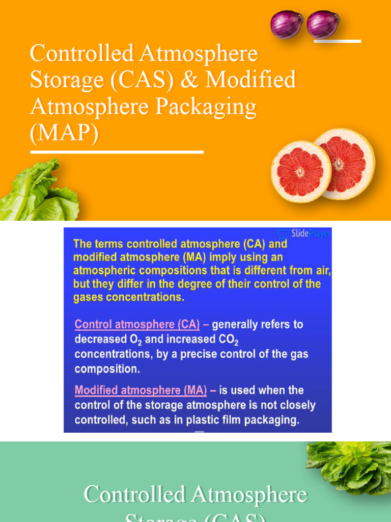 Kuliah Pitp Cas Map | PDF | Carbon Dioxide | Fruit