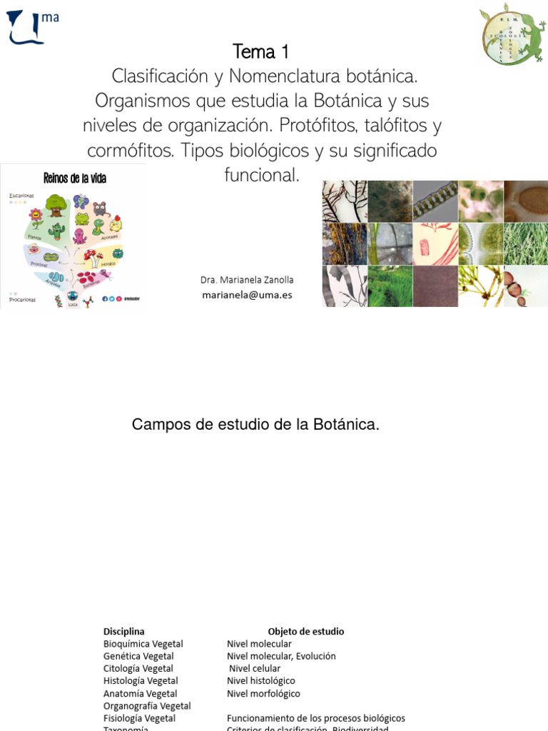 Introducción a la Botánica y Nomenclatura | PDF | Botánica | Plantas