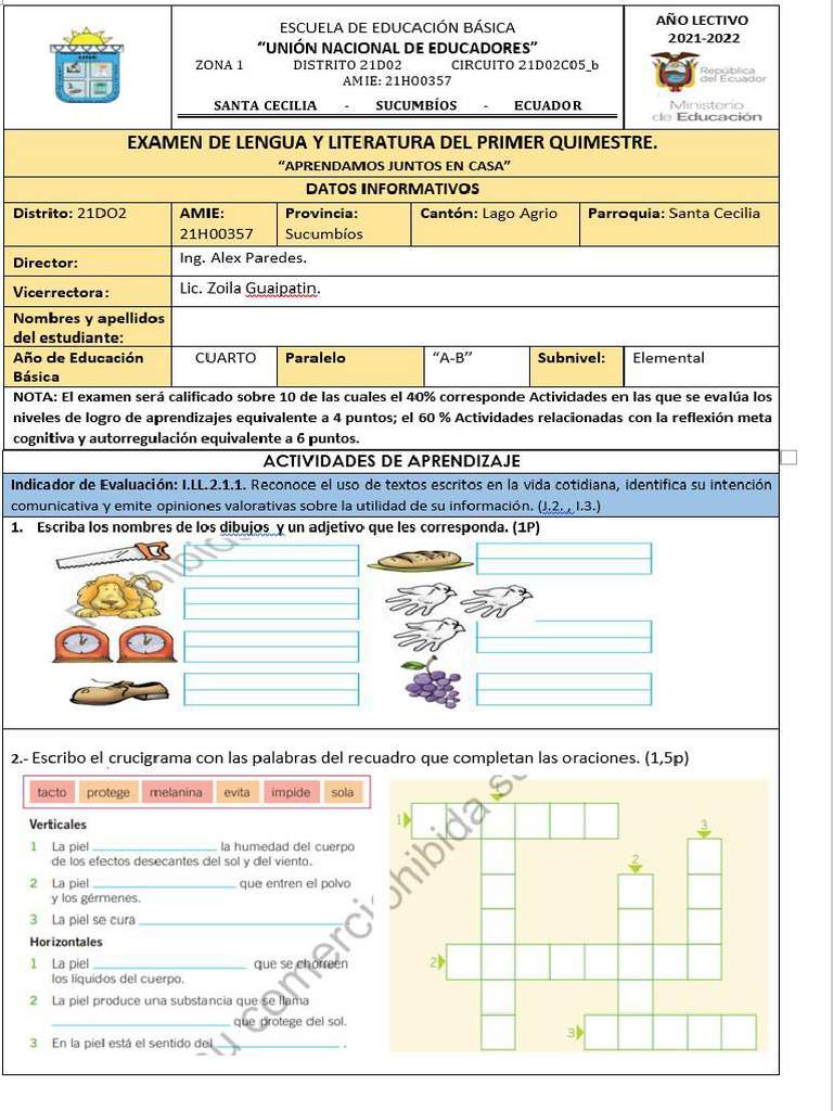 001 - Examen de 4to Grado - Lengua y Literatura | PDF