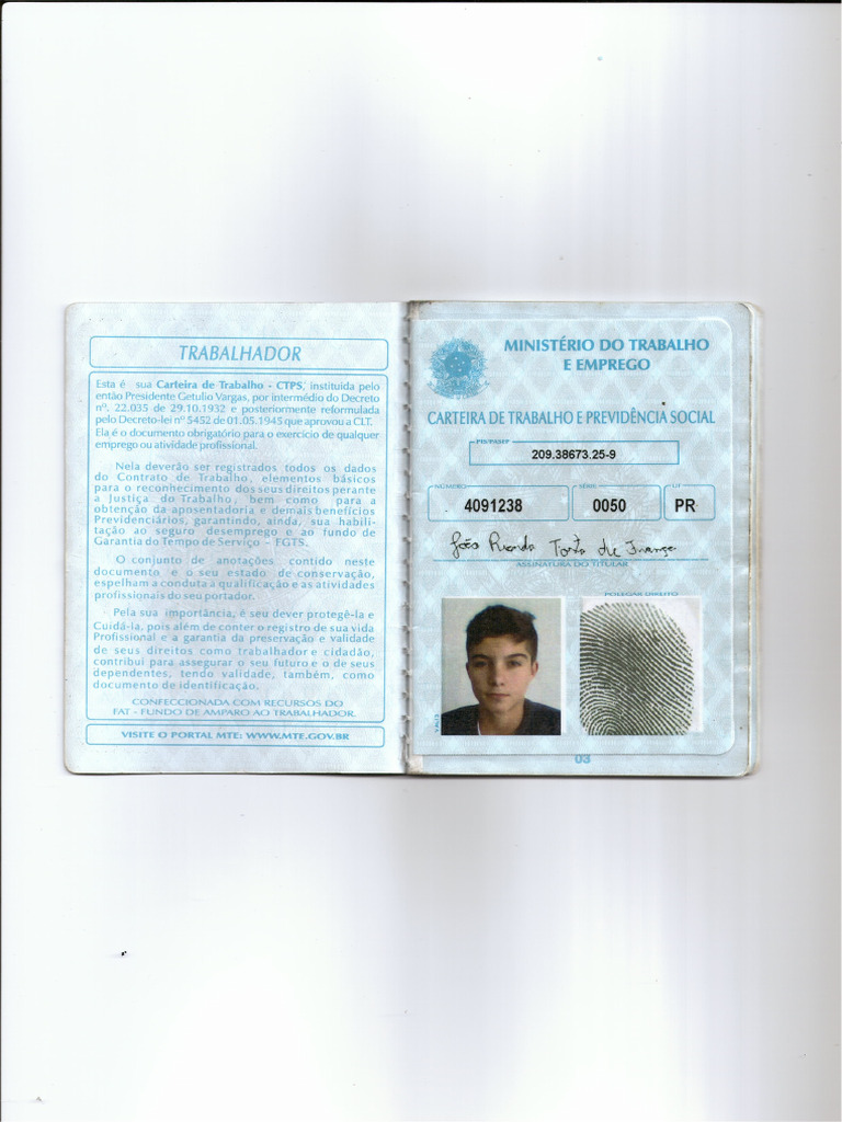 Carteira de Trabalho | PDF