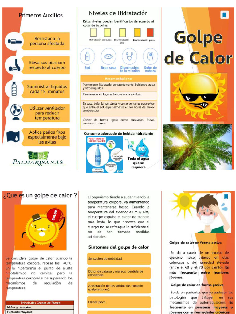 Folleto Golpe de Calor Enero 2024 | PDF