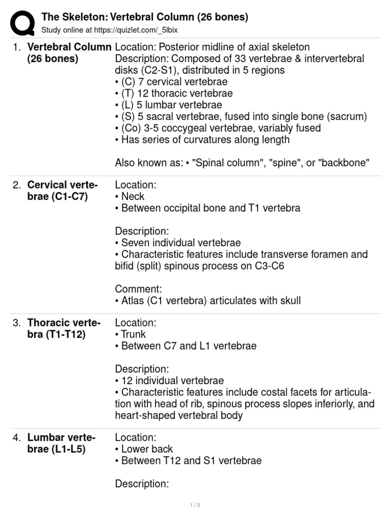The Skeleton Vertebral Column 26 Bones | PDF | Vertebra | Vertebral Column