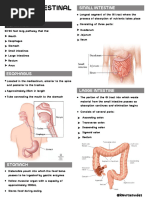 Digestive System CPT Guidelines | PDF