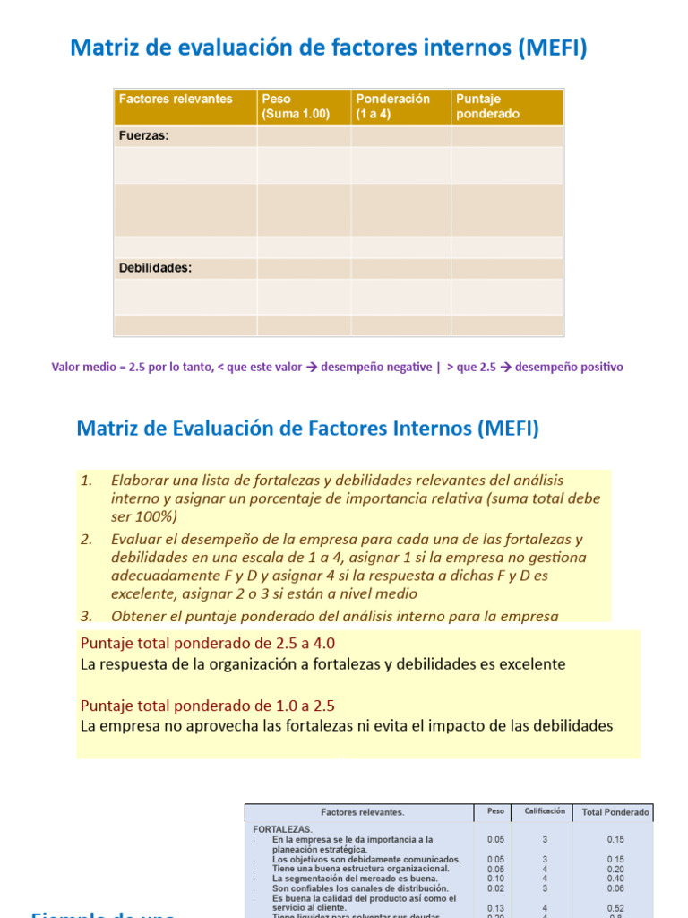Ejemplo de MEFI | PDF | Business | Marketing