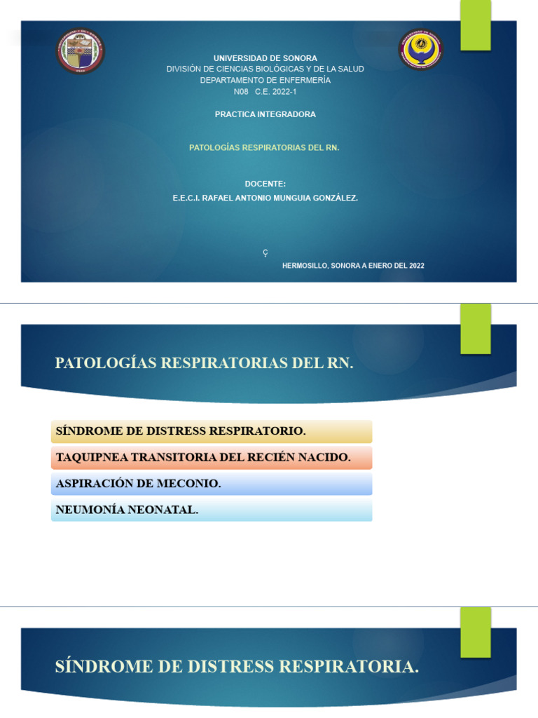 2 Patologias Respiratorias Del RN (SX Distress Respiratorio, TTRN ...