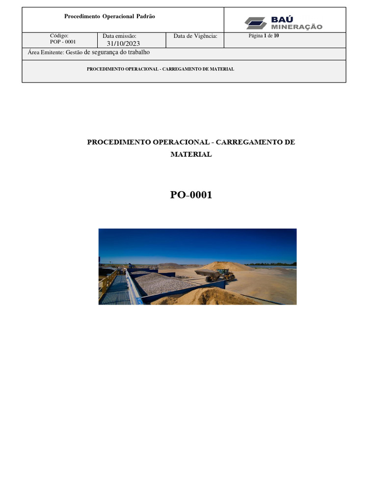 Padrão Operacional Procedimento de Segurança No Trabalho para ...