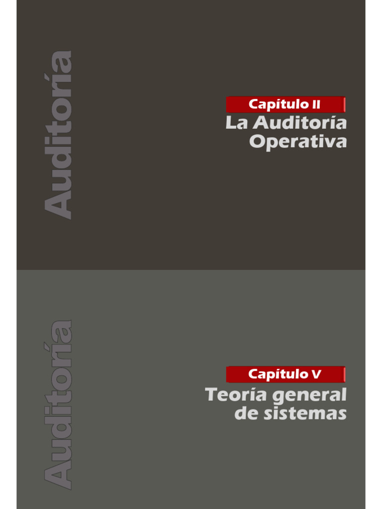 Tema 2 Control Interno | PDF | Auditoría | Sistema