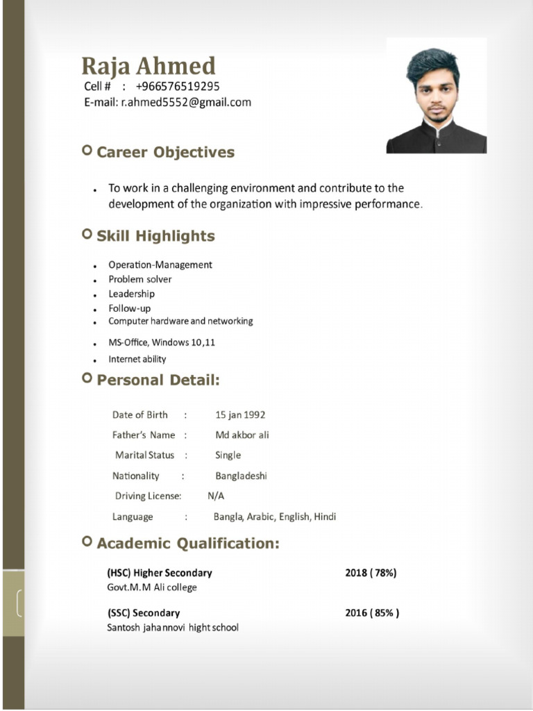 Raja Ahned CV, 2 | PDF