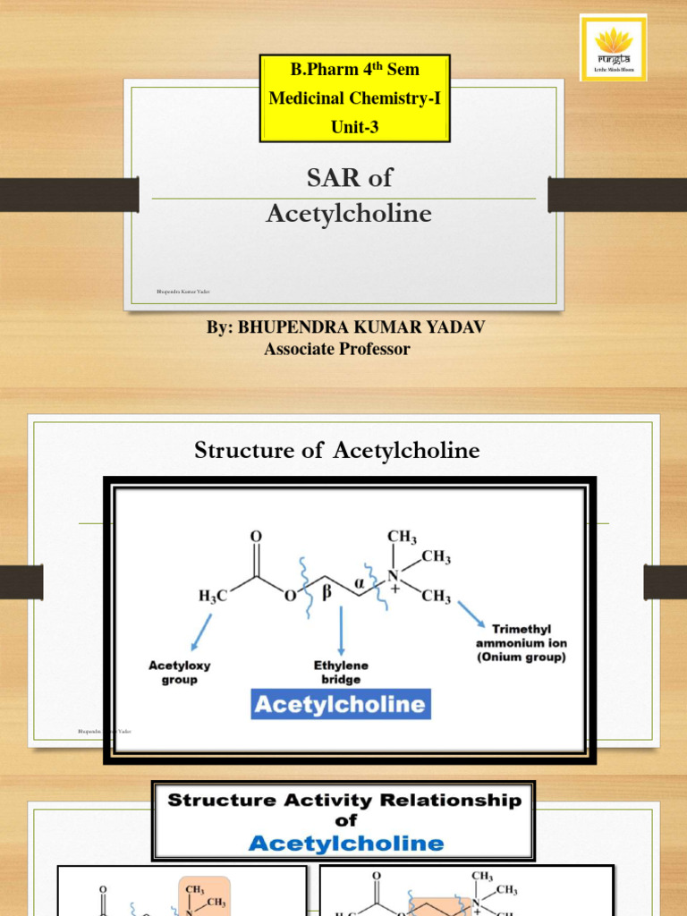 SAR of Acetylcholine | PDF