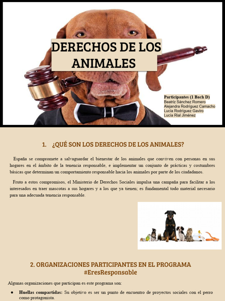 Derechos de Los Animales | PDF