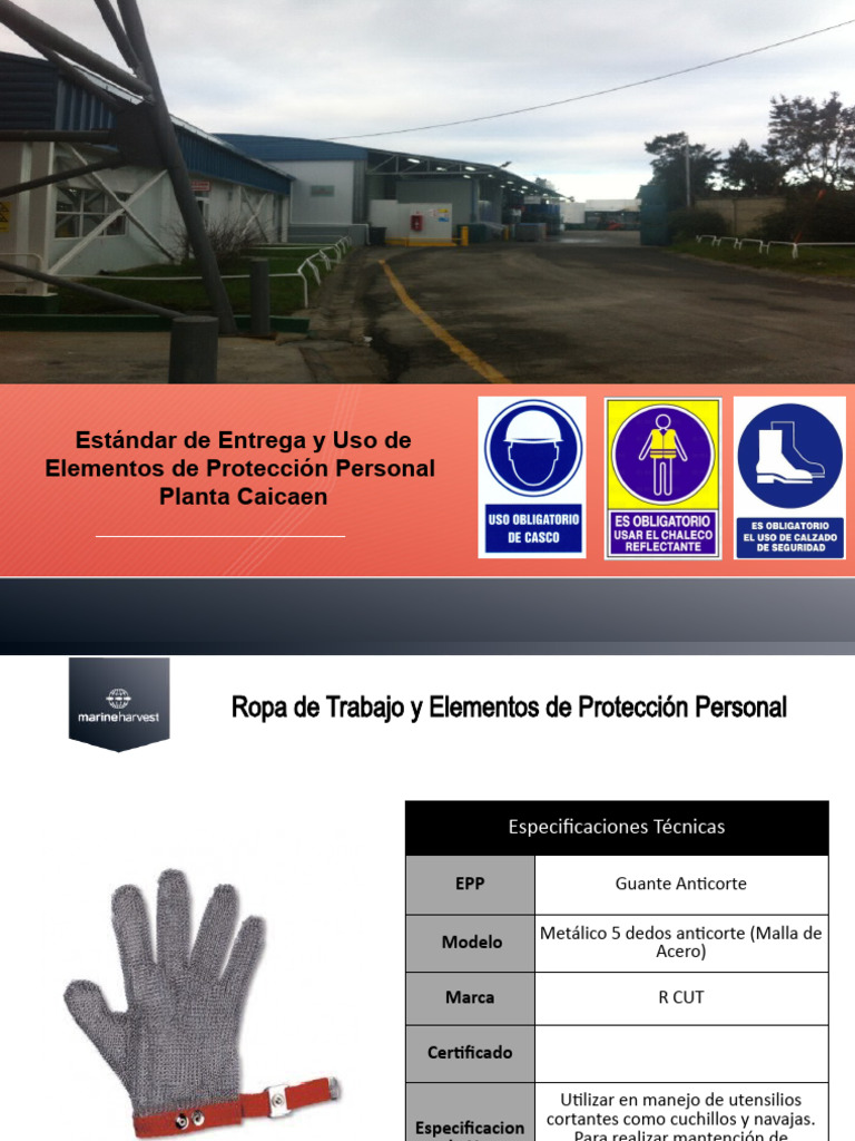 EPP Planta Caicaen | PDF | Guante | Materiales
