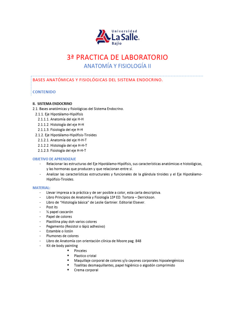3a Práctica de Lab AyFII Sistema Endocrino Eje H-H e H-H-Tiroides | PDF ...