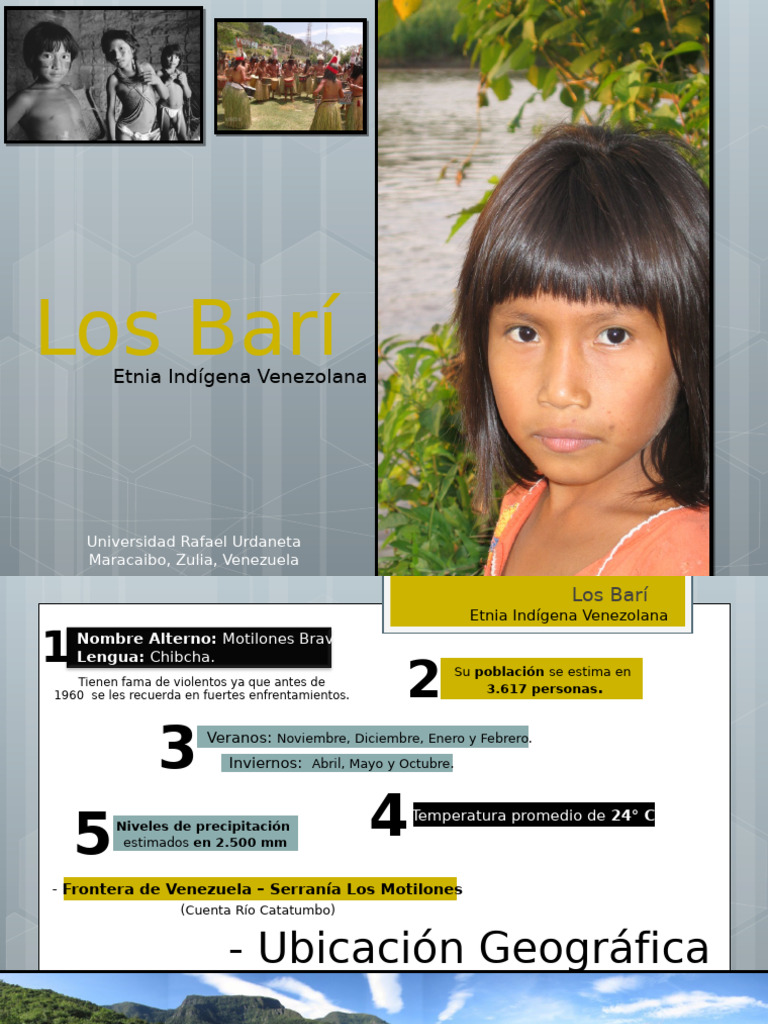 Bari Etnia Indigena Venezolana | PDF | Gente indígena | Pueblos ...