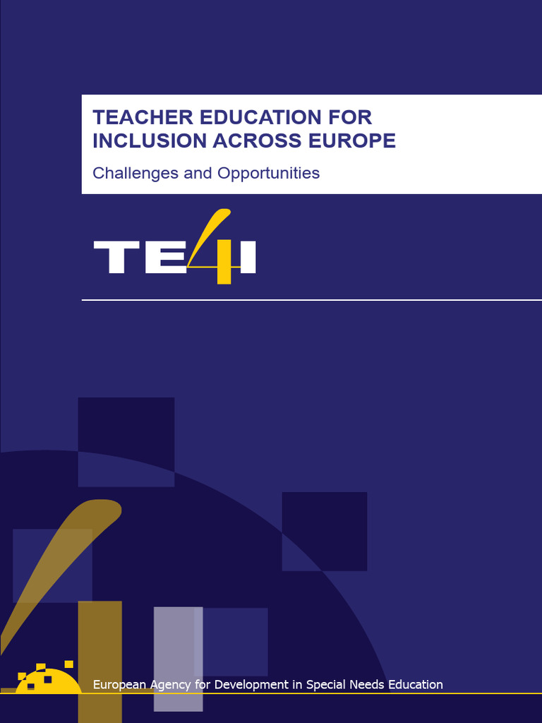 Te4i Synthesis Report en | PDF | Teacher Education | Teachers