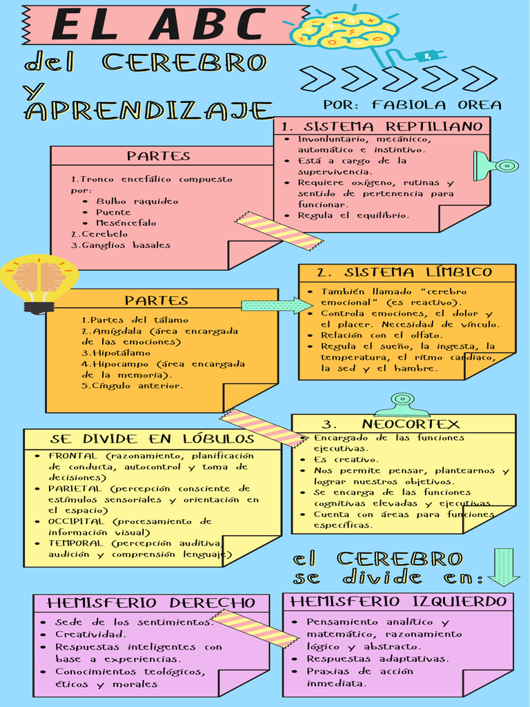 ABC Del Cerebro y El Aprendizaje | PDF | Cerebro | Las emociones