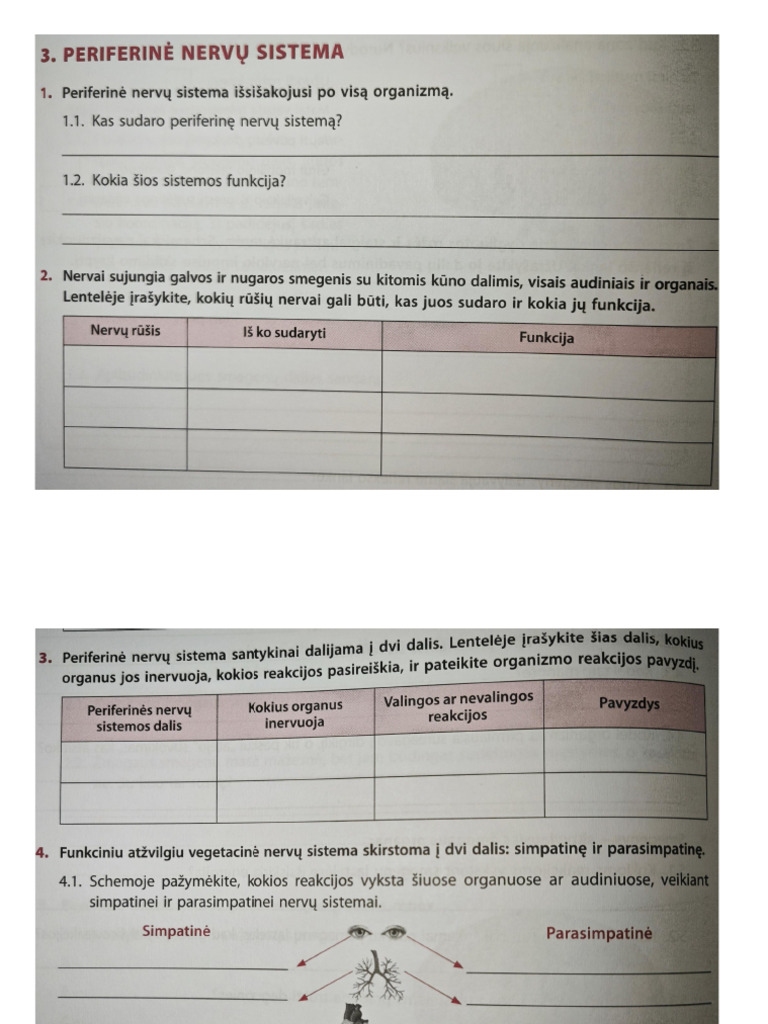 7 3 Pns | PDF
