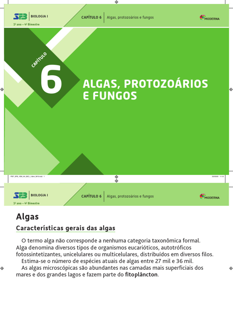 Algas, Prot e Fungos | PDF