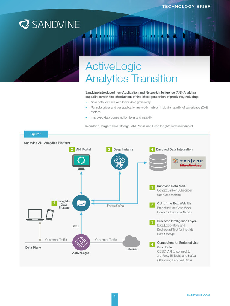 Sandvine ActiveLogic Analytics Overview | PDF | Computer Network | Data