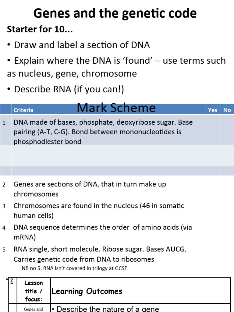 2 Genes and The Genetic Code | PDF | Genetic Code | Gene